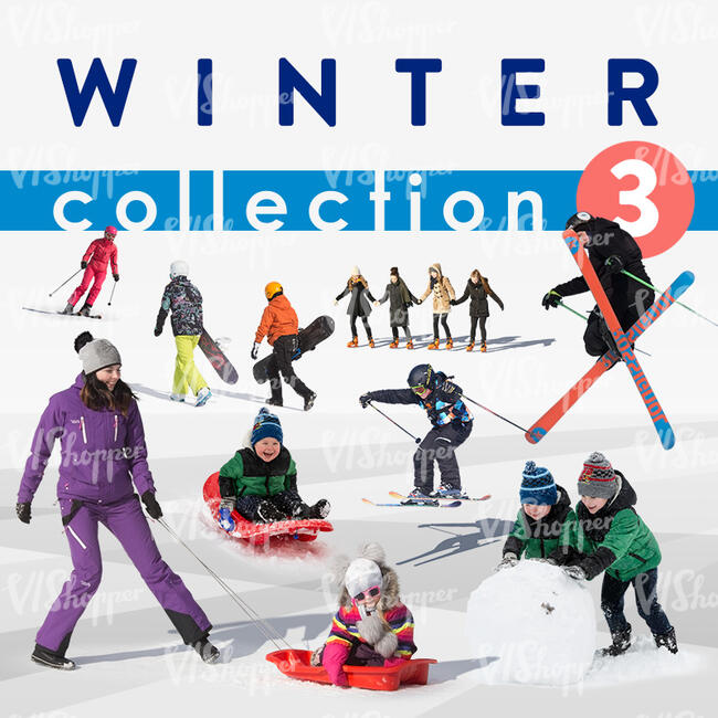 The Ultimate Character Collection 12 - VIShopper