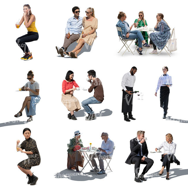 The Ultimate Character Collection 12 - VIShopper