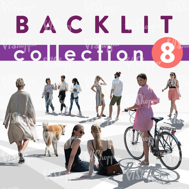 The Ultimate Character Collection 19 - VIShopper