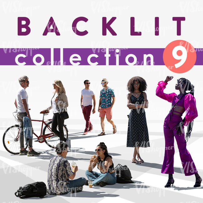 The Ultimate Character Collection 20 - VIShopper