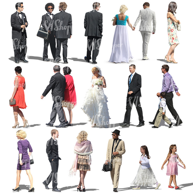 Fancy Collection 1 - VIShopper