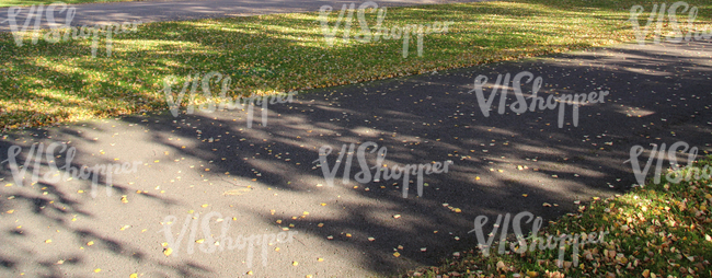 50 Free Grounds - VIShopper