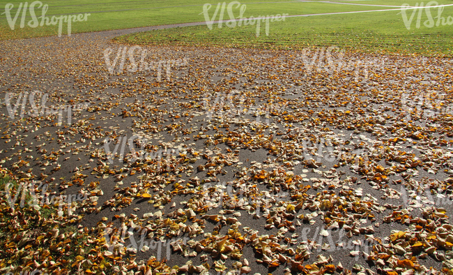 50 Free Grounds - VIShopper