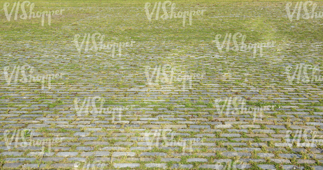 50 Free Grounds - VIShopper