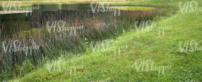 50 Free Grounds - VIShopper