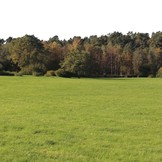 VIShopper - High-res cut out people, trees, backgrounds, sky and ground ...