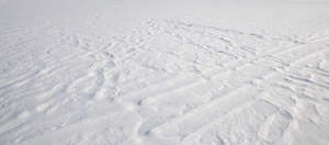 lumpy field of snow - VIShopper