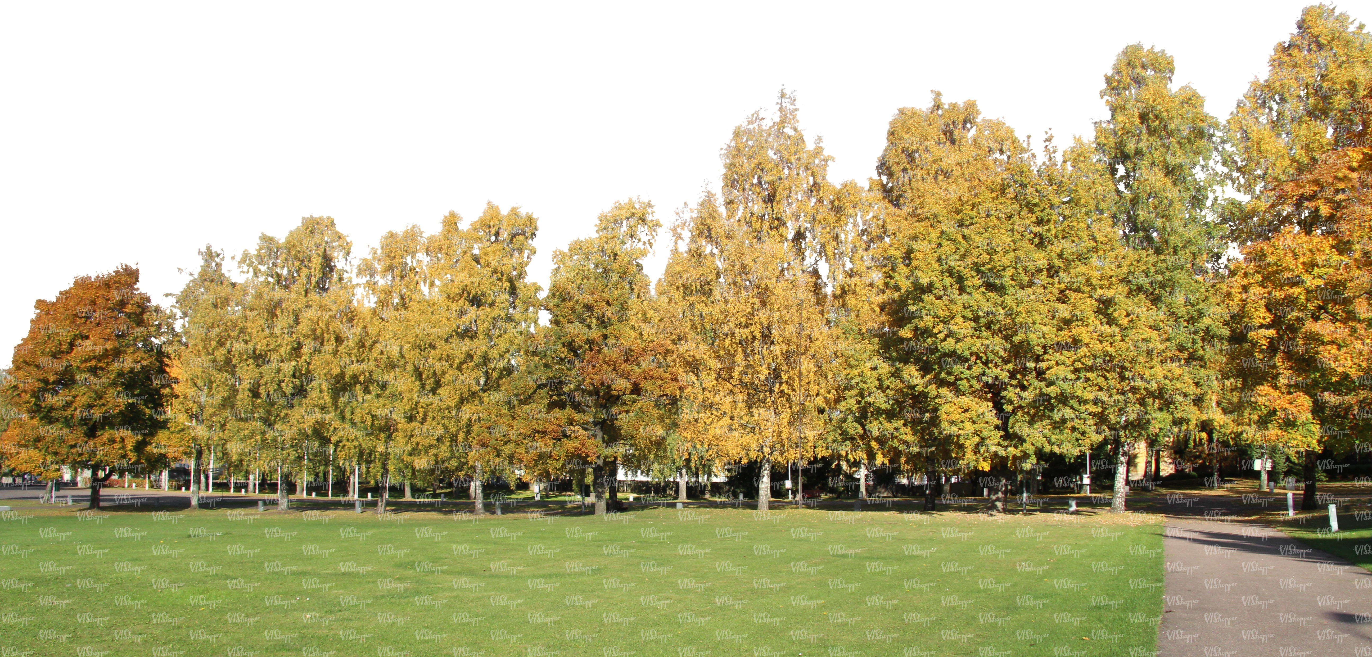 sidewalk in autumn with colorful trees - VIShopper